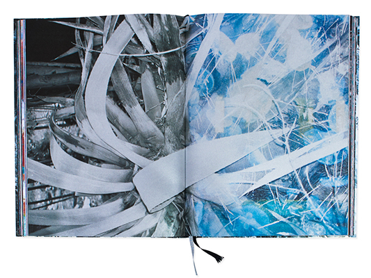 Maya Rochat | Random Institute