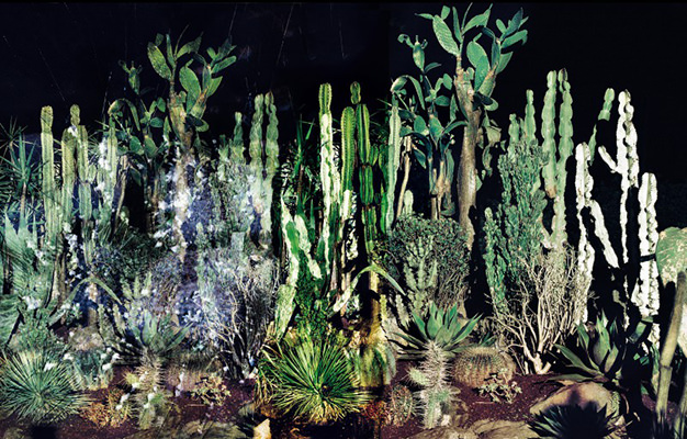 Maya Rochat | Random Institute